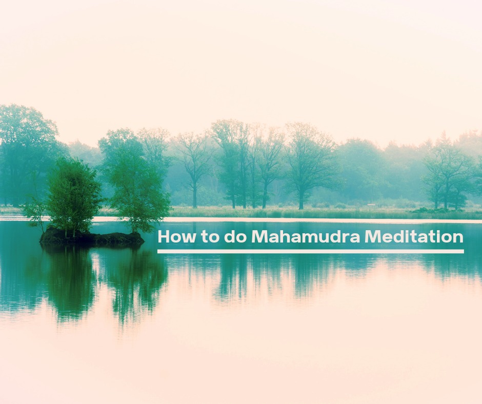 How to Do Mahamudra Meditation | Dzogchen Ponlop Rinpoche